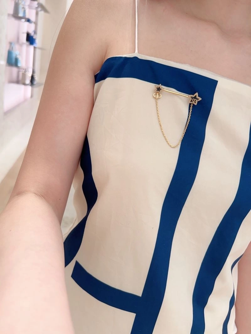 Cut-rate Christian Dior Brooches