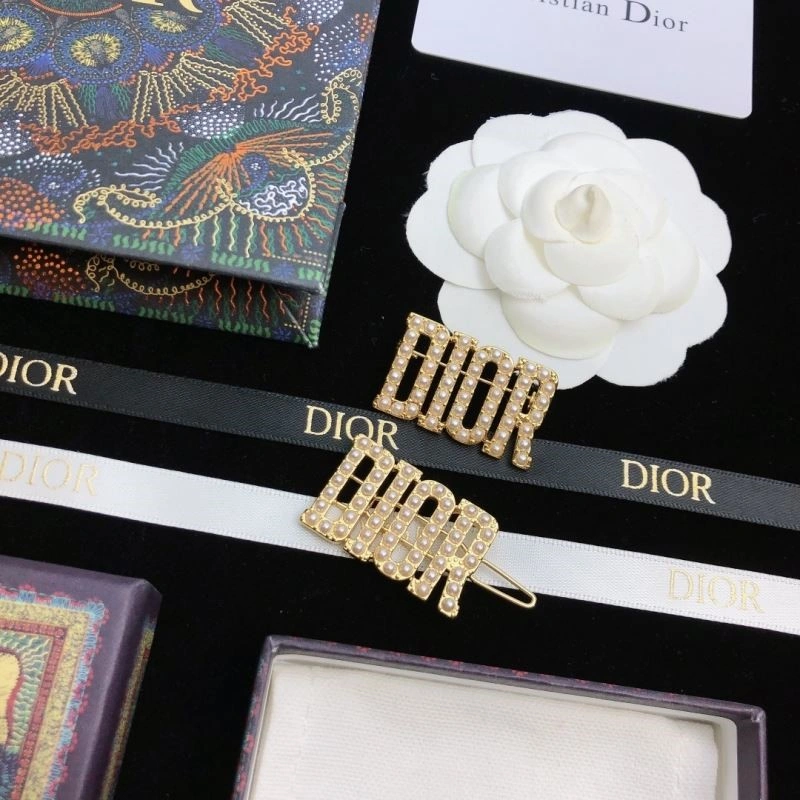 High fidelity Christian Dior Brooches