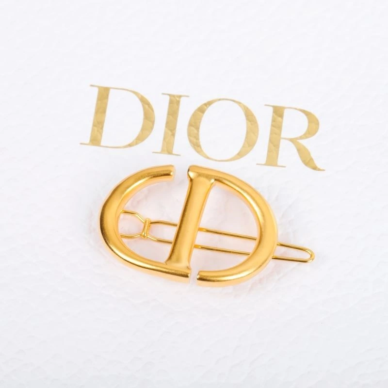 High fidelity Christian Dior Brooches