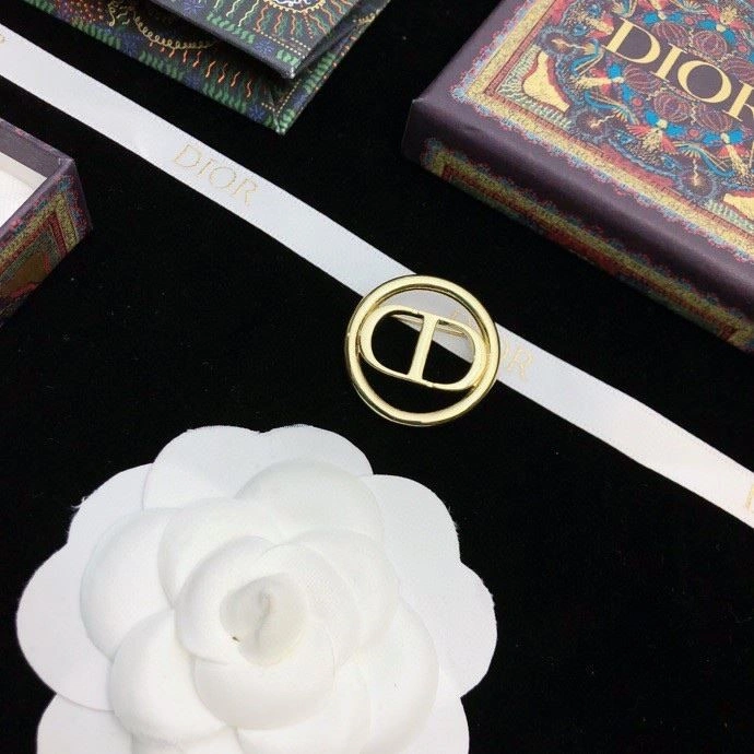 Exact replica Christian Dior Brooches