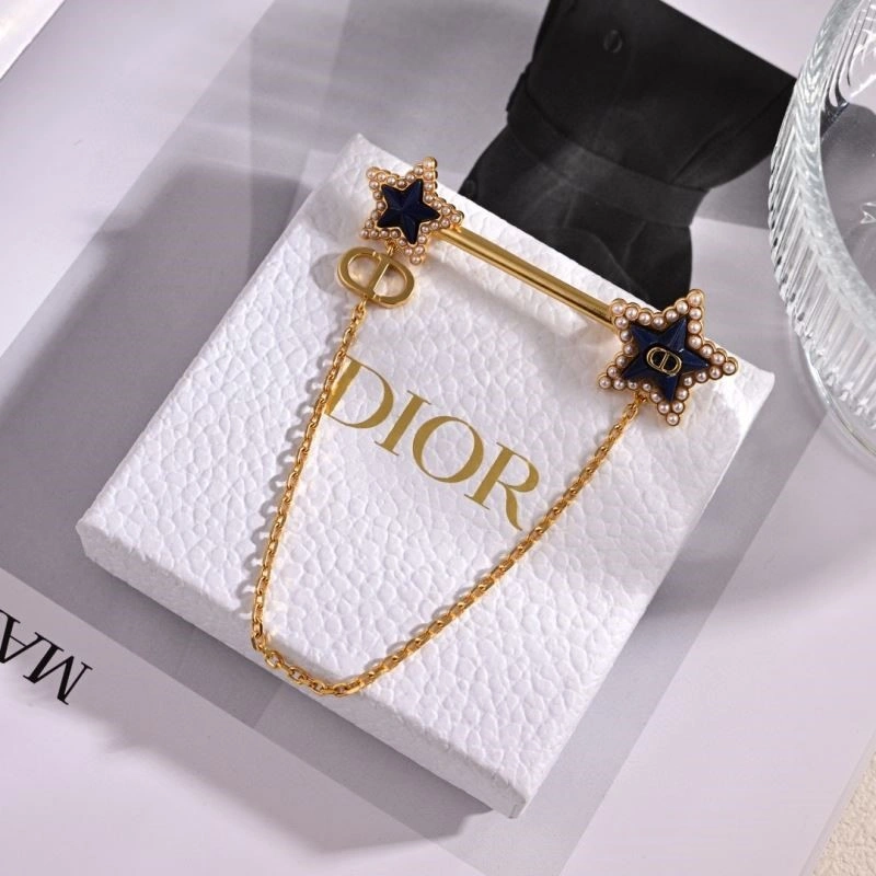 Mirror quality Christian Dior Brooches