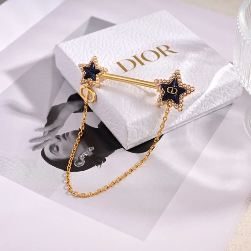 Mirror quality Christian Dior Brooches