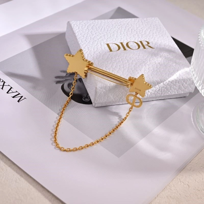 Mirror quality Christian Dior Brooches