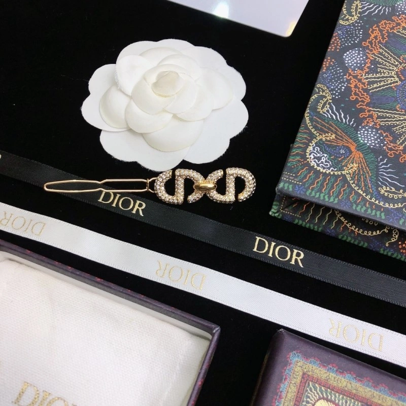 Top mirror Christian Dior Brooches