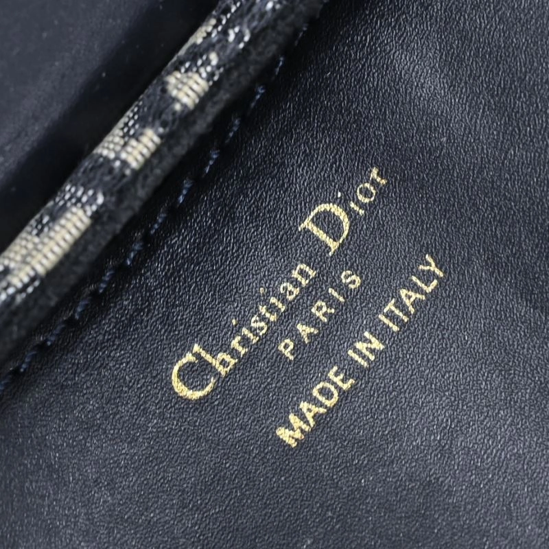 Accurate model Christian Dior Bucket Bags