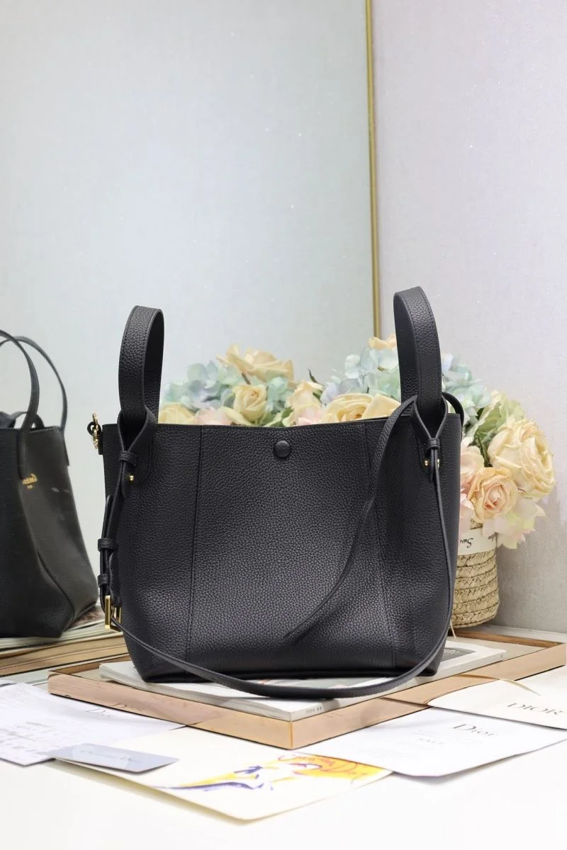 Accurate model Christian Dior Bucket Bags