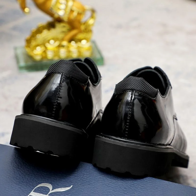 Accurate model Christian Dior Business Shoes