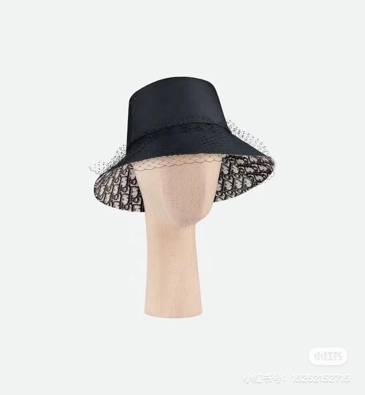 Christian Dior Caps