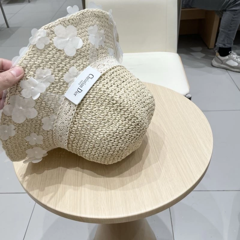 Cut-rate Christian Dior Caps