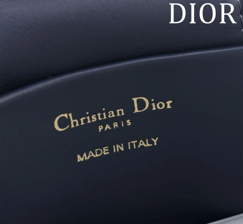 Accurate model Christian Dior Cosmetic Bags