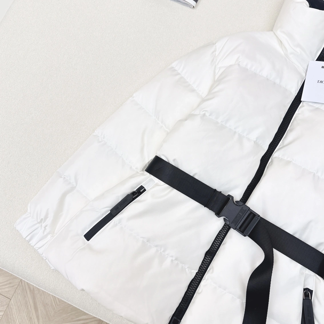 1:1 copy Christian Dior Down Jackets