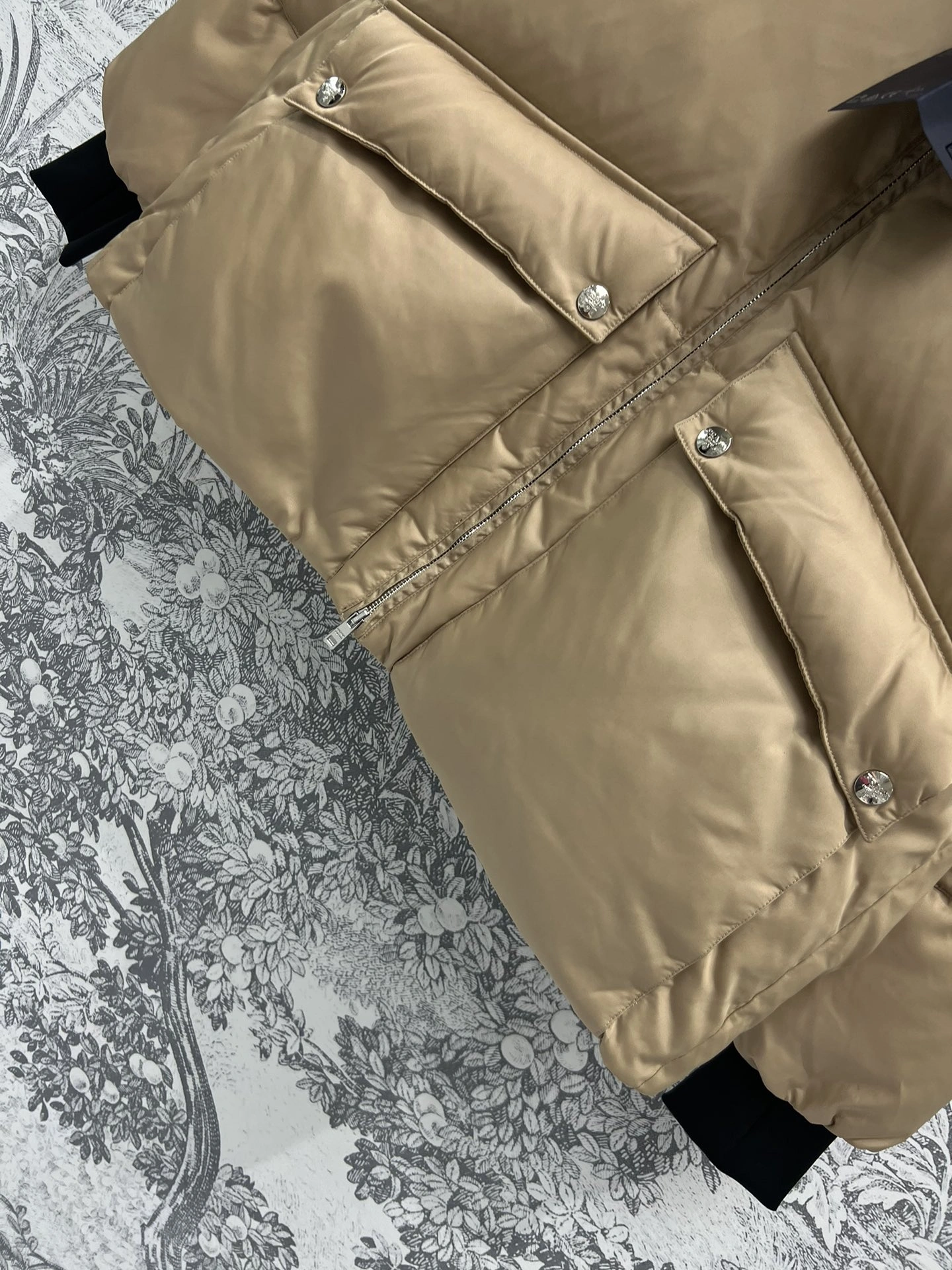 Real Christian Dior Down Jackets