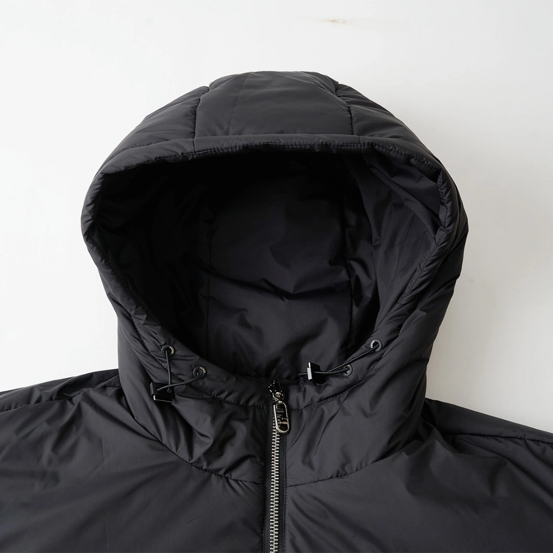 Accurate model Christian Dior Down Jackets