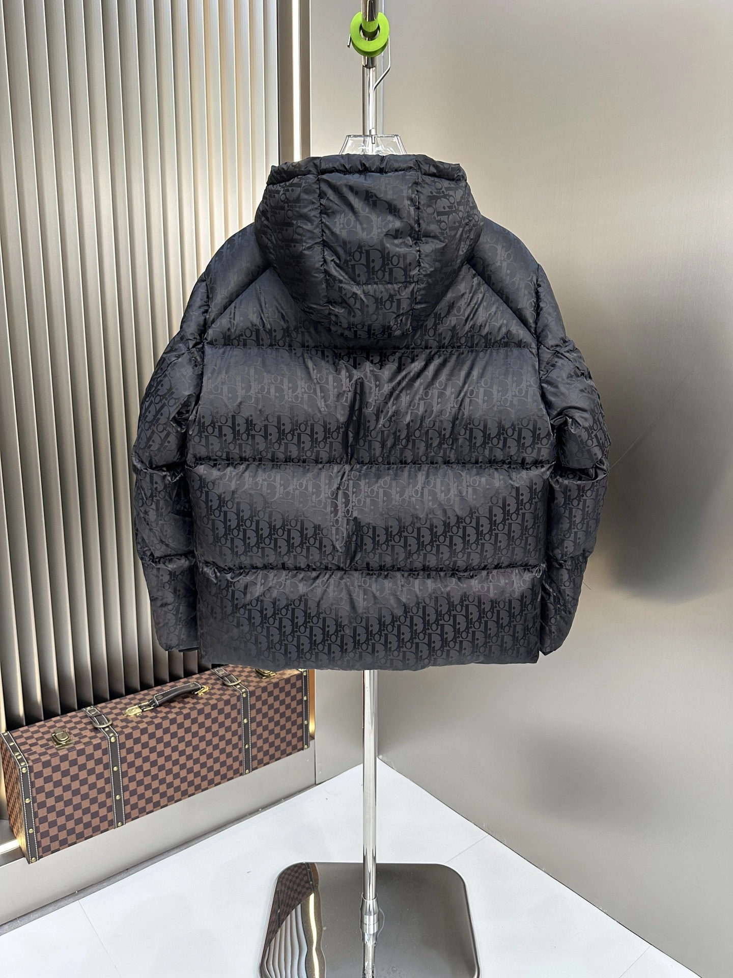 High fidelity Christian Dior Down Jackets