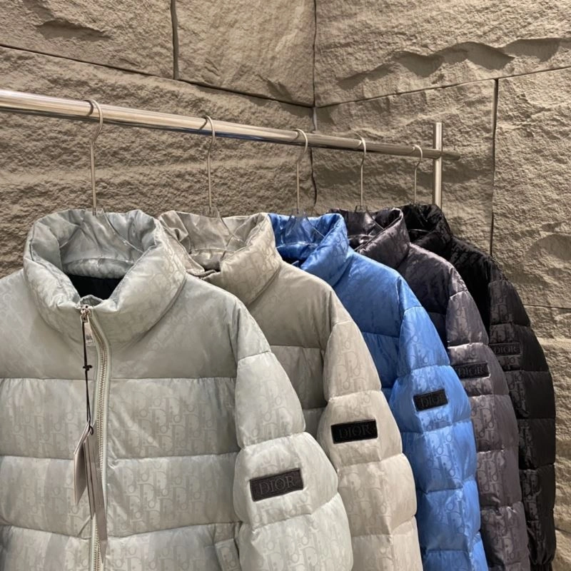 Reasonably priced Christian Dior Down Jackets