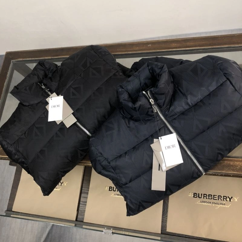Perfect replica Christian Dior Down Jackets