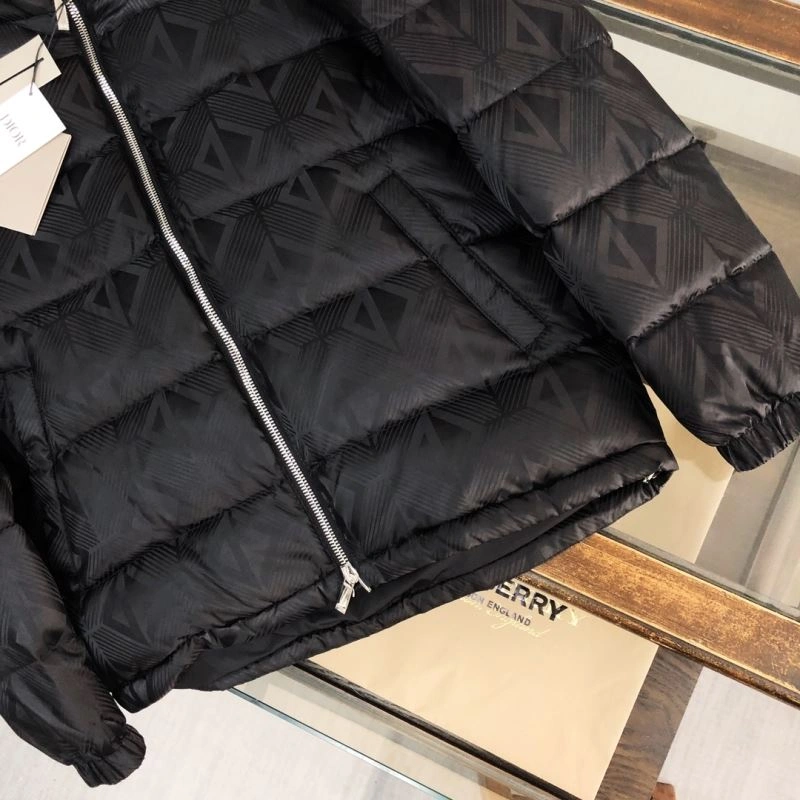 Perfect replica Christian Dior Down Jackets