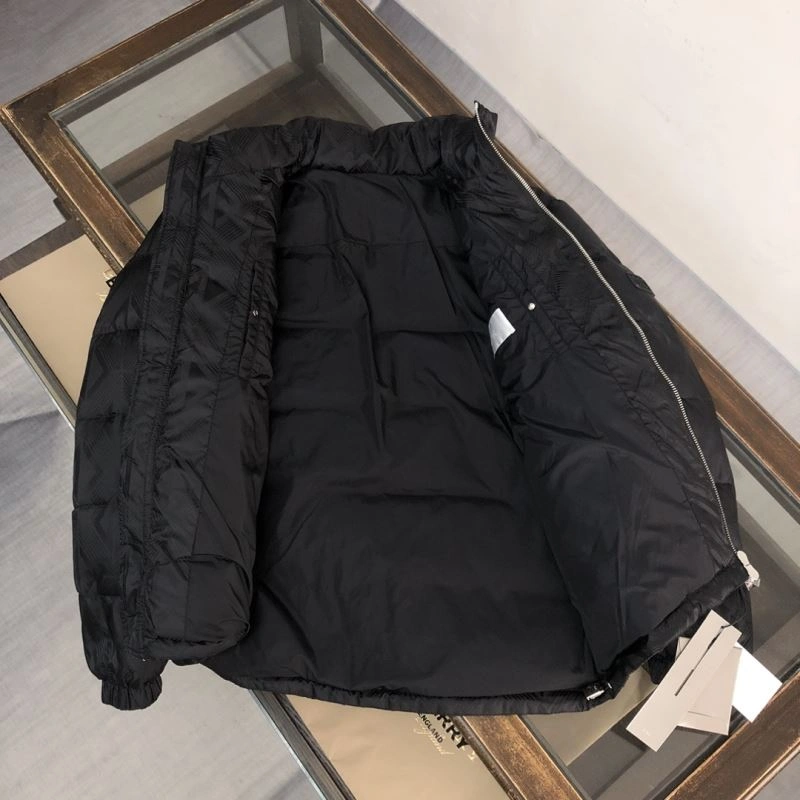Perfect replica Christian Dior Down Jackets