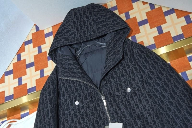 Accurate model Christian Dior Down Jackets