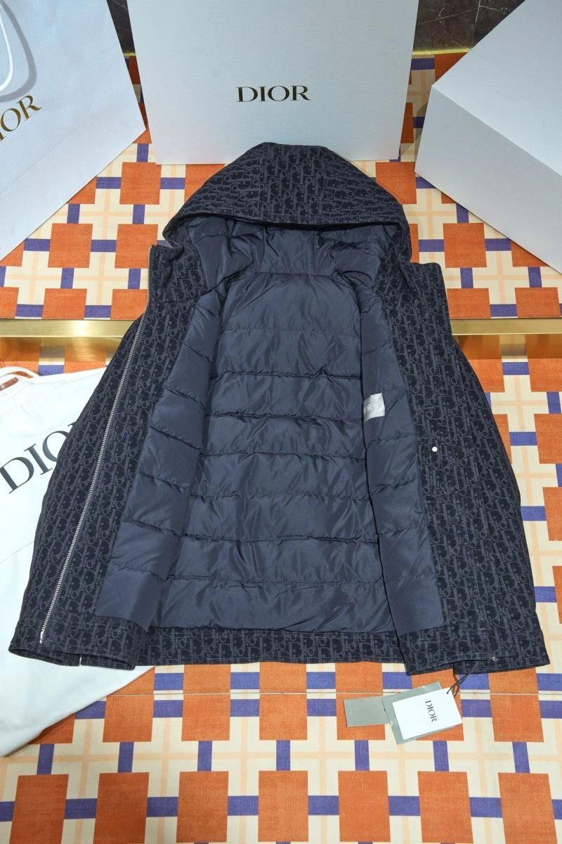 Accurate model Christian Dior Down Jackets