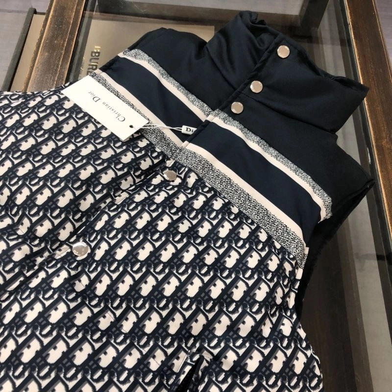 1:1 copy Christian Dior Down Jackets