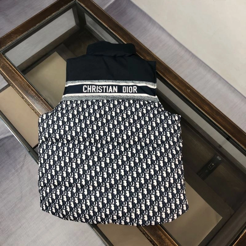 1:1 copy Christian Dior Down Jackets