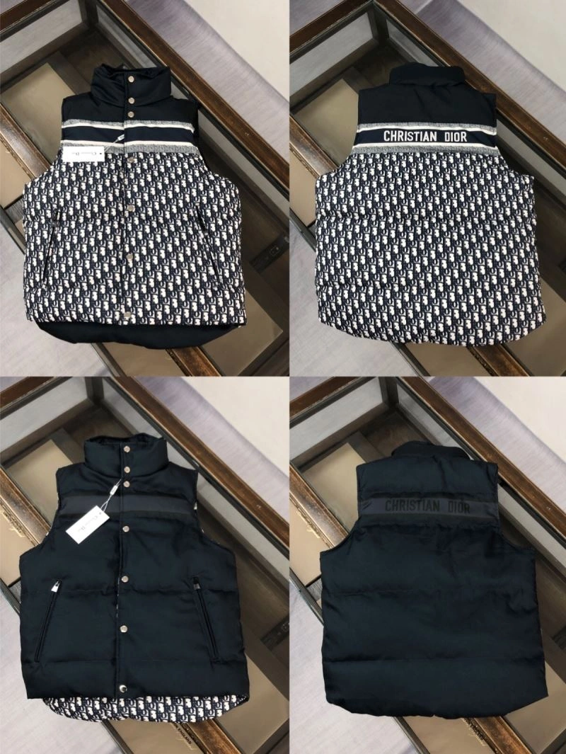 1:1 copy Christian Dior Down Jackets