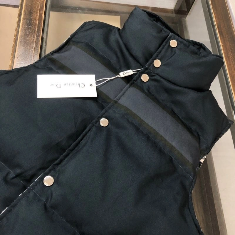 1:1 copy Christian Dior Down Jackets