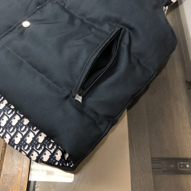 1:1 copy Christian Dior Down Jackets