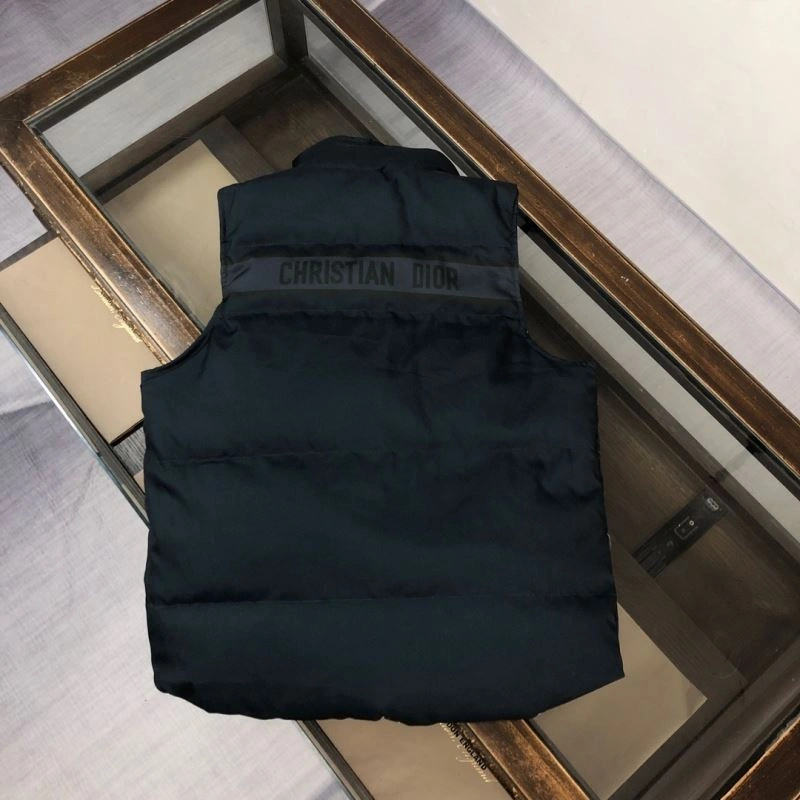 1:1 copy Christian Dior Down Jackets