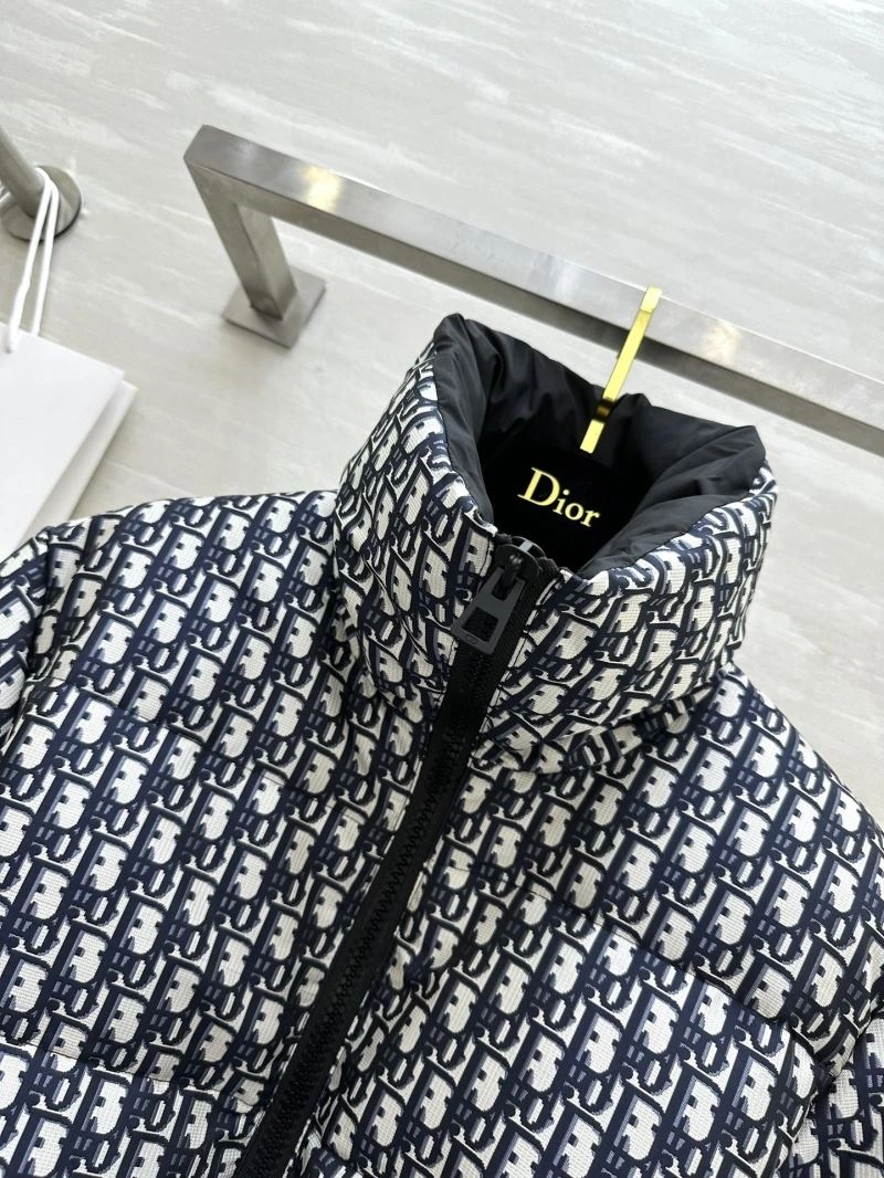 1:1 copy Christian Dior Down Jackets