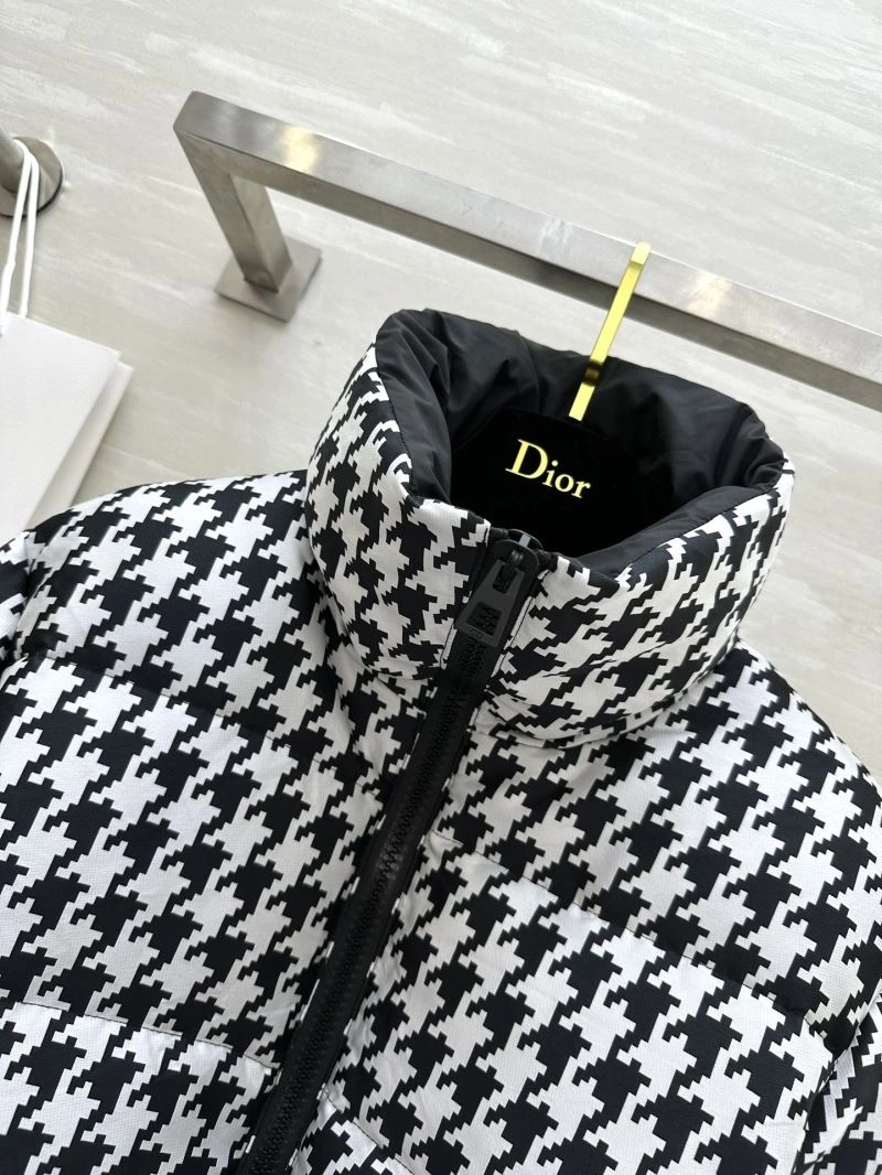 Mirror quality Christian Dior Down Jackets
