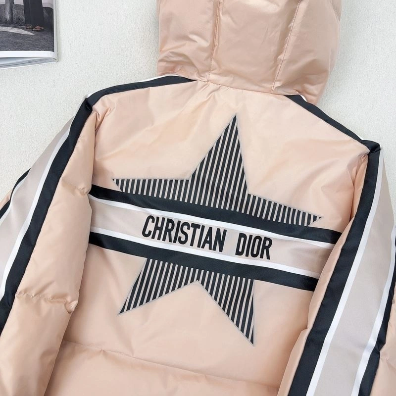 1:1 copy Christian Dior Down Jackets
