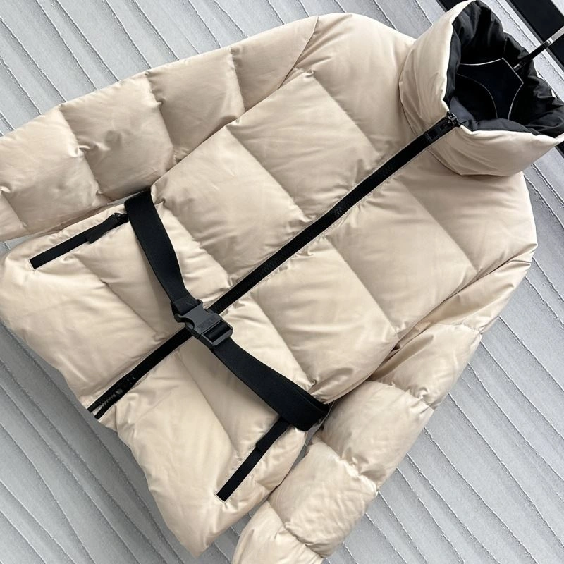 Cut-rate Christian Dior Down Jackets