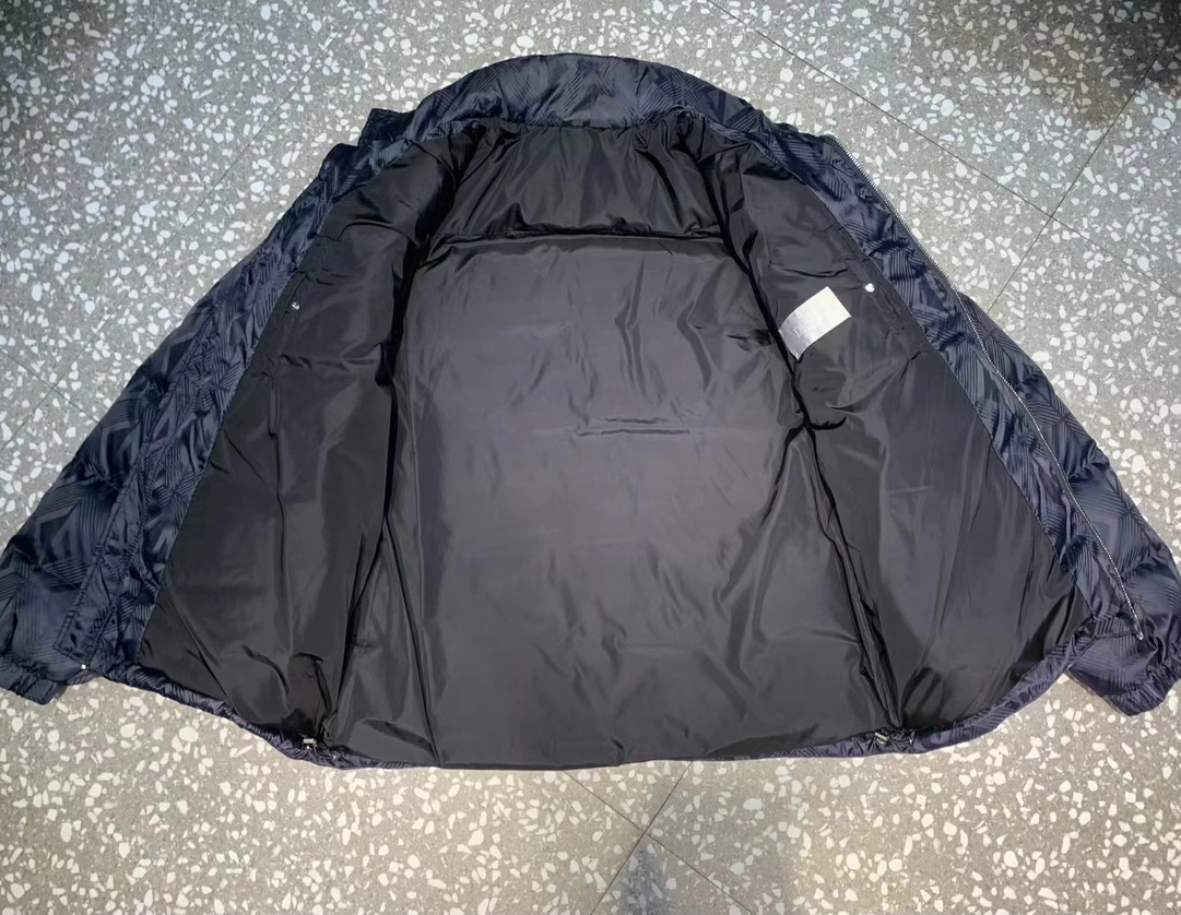 Mirror quality Christian Dior Down Jackets