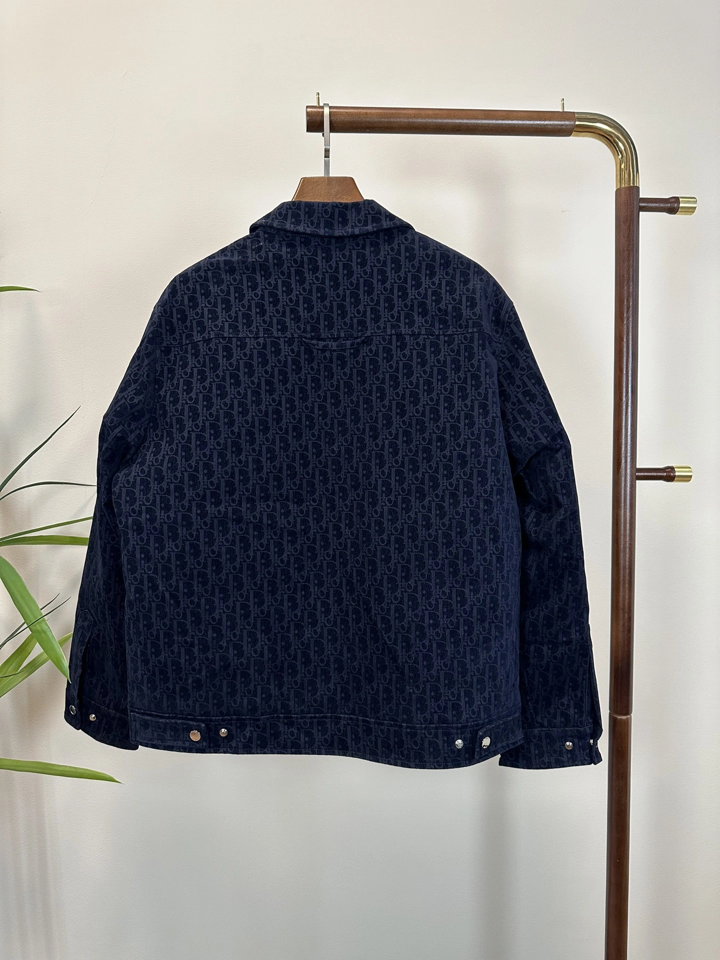 Cut-rate Christian Dior Down Jackets