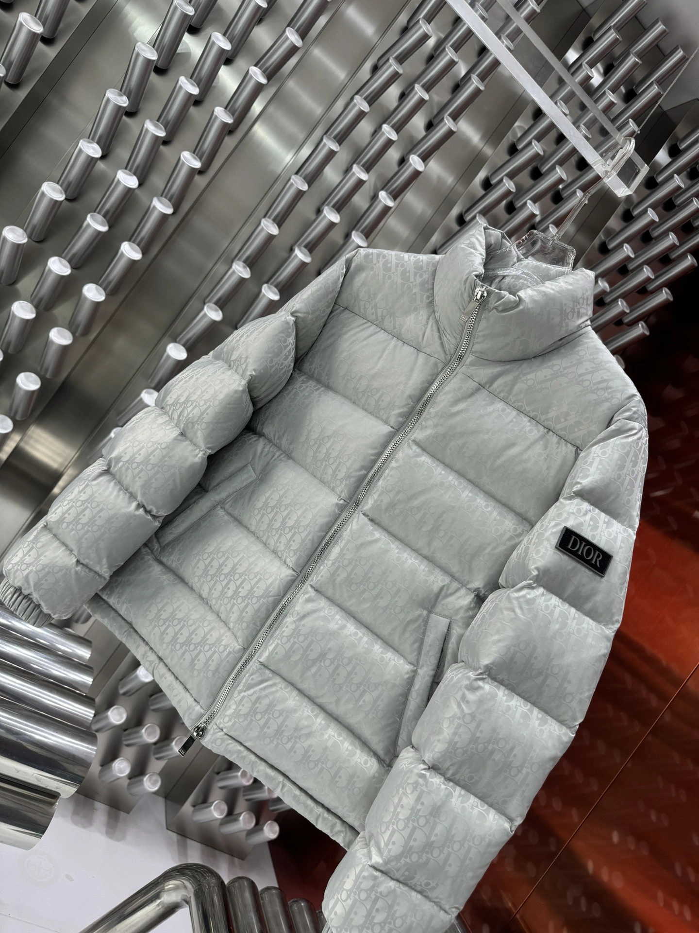 Indistinguishable Christian Dior Down Jackets