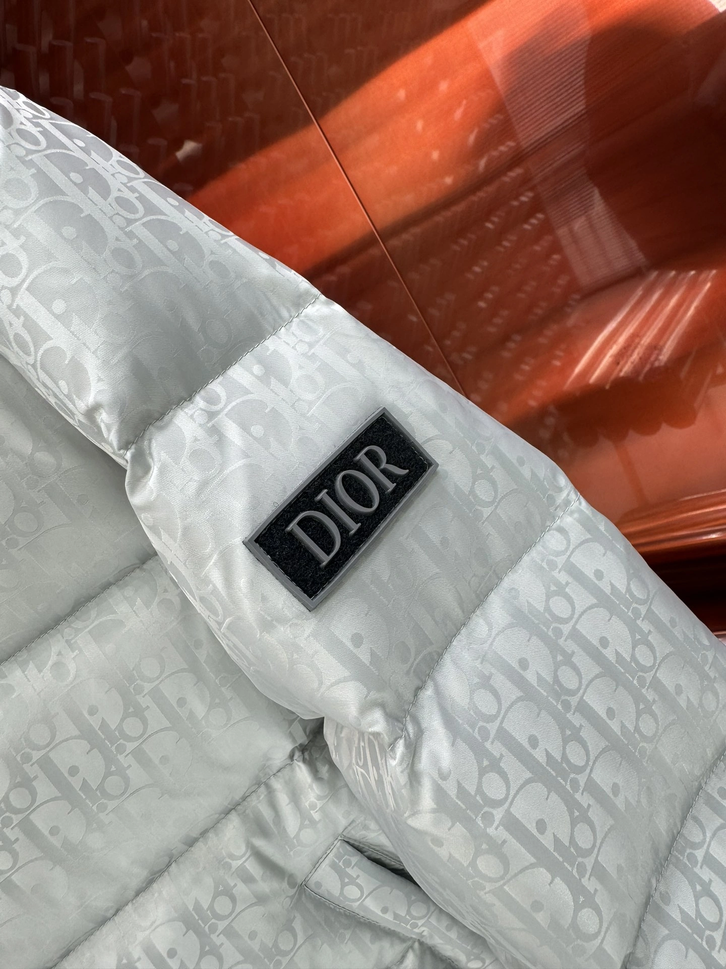 Indistinguishable Christian Dior Down Jackets