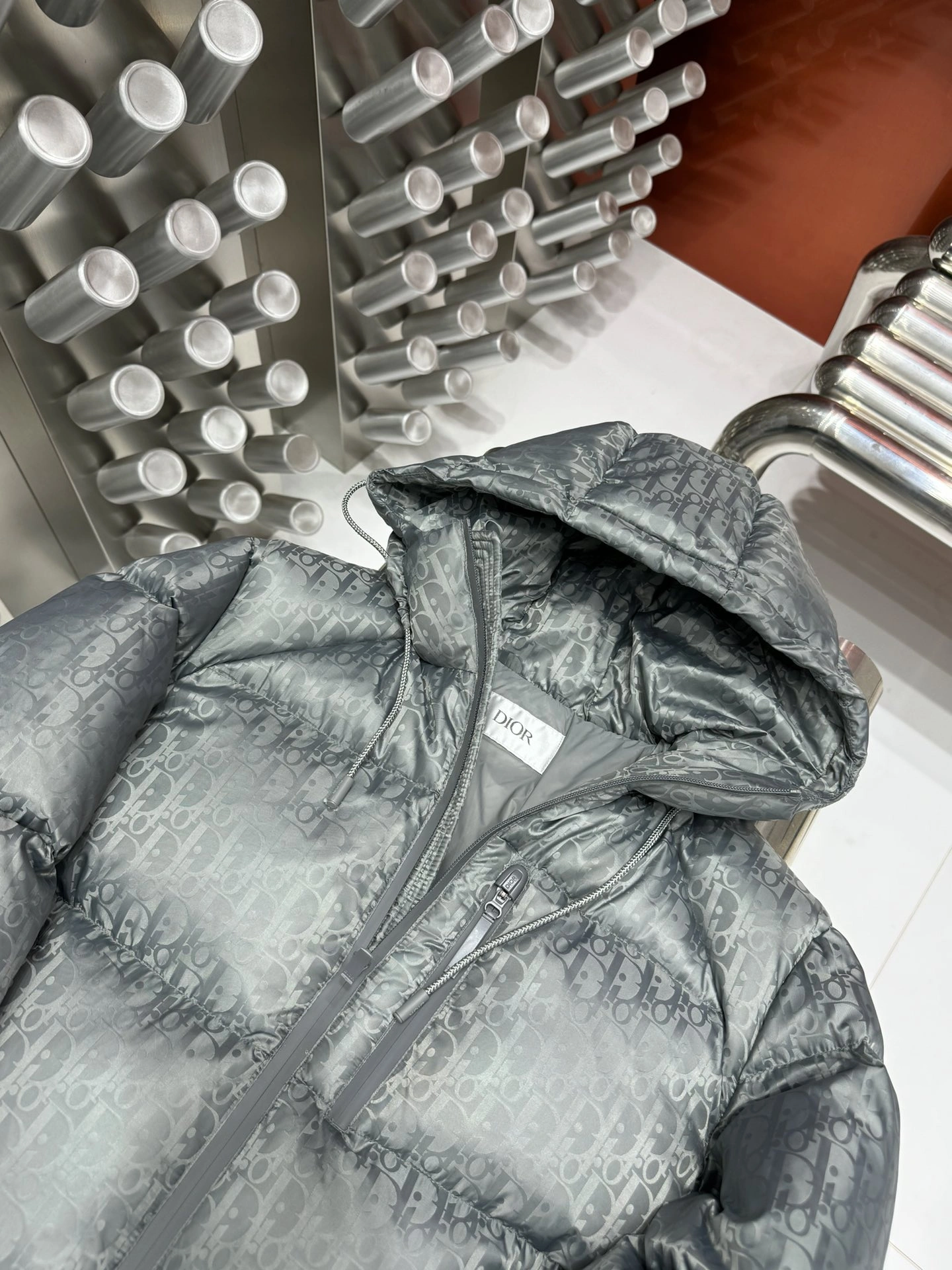 Indistinguishable Christian Dior Down Jackets