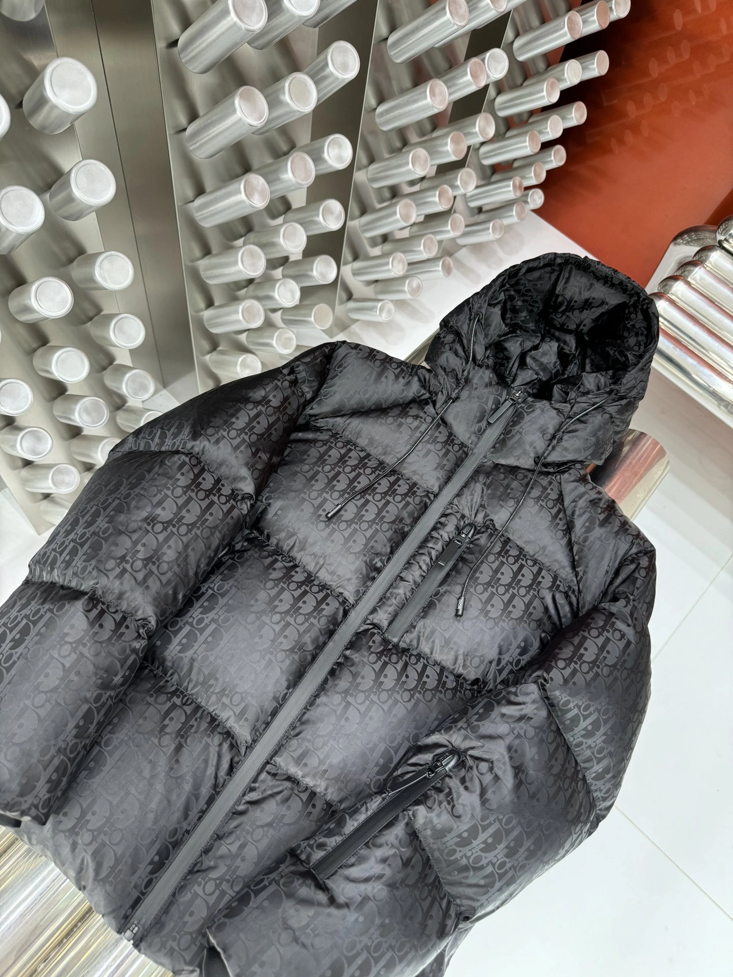 Accurate model Christian Dior Down Jackets
