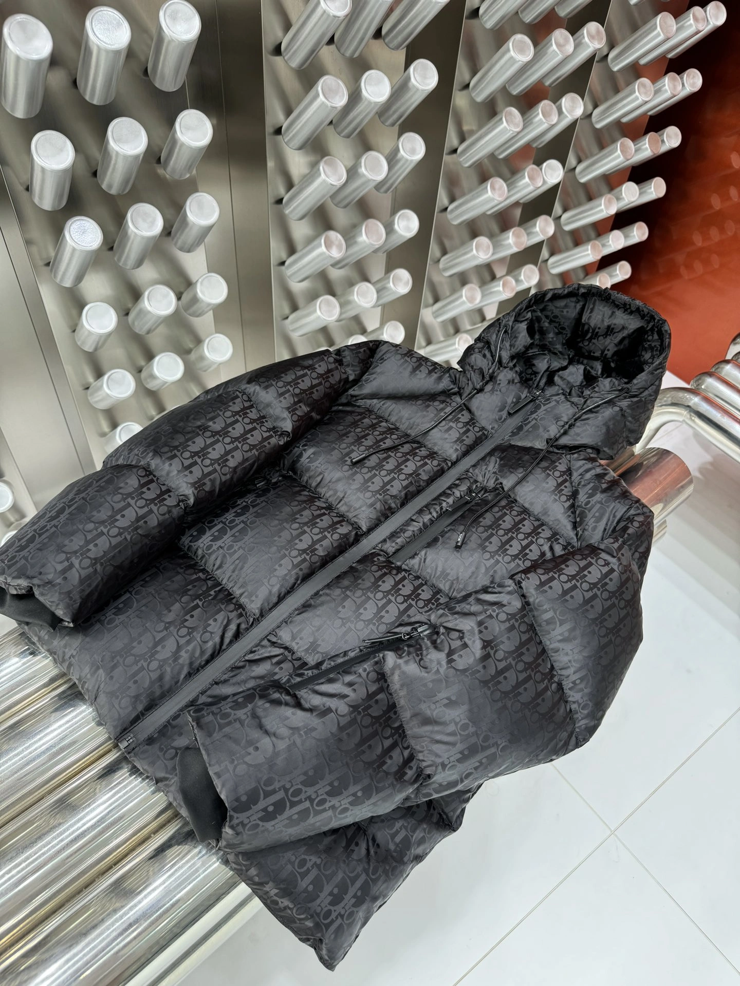 Accurate model Christian Dior Down Jackets