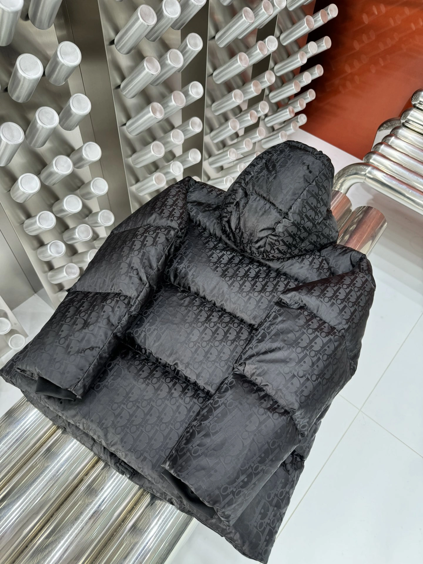 Accurate model Christian Dior Down Jackets