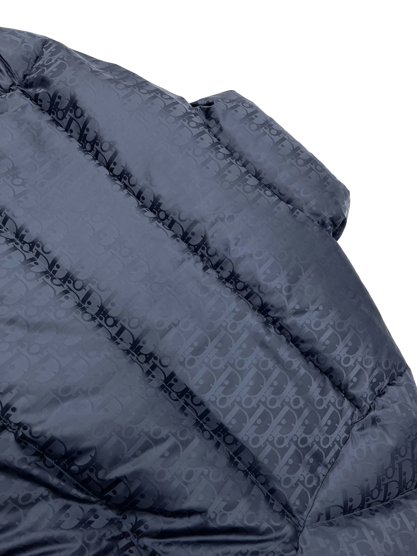 Precise copy Christian Dior Down Jackets