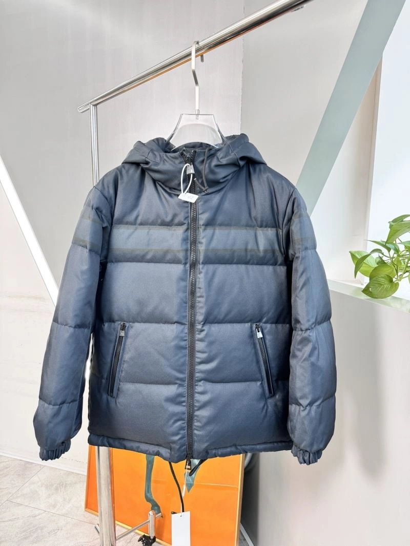 Exact replica Christian Dior Down Jackets
