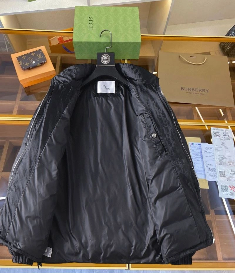 Indistinguishable Christian Dior Down Jackets