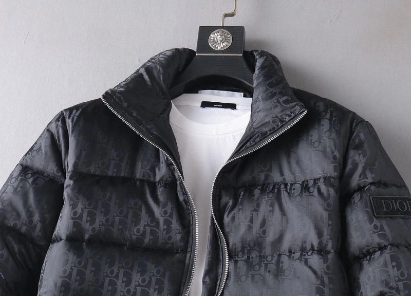 Indistinguishable Christian Dior Down Jackets