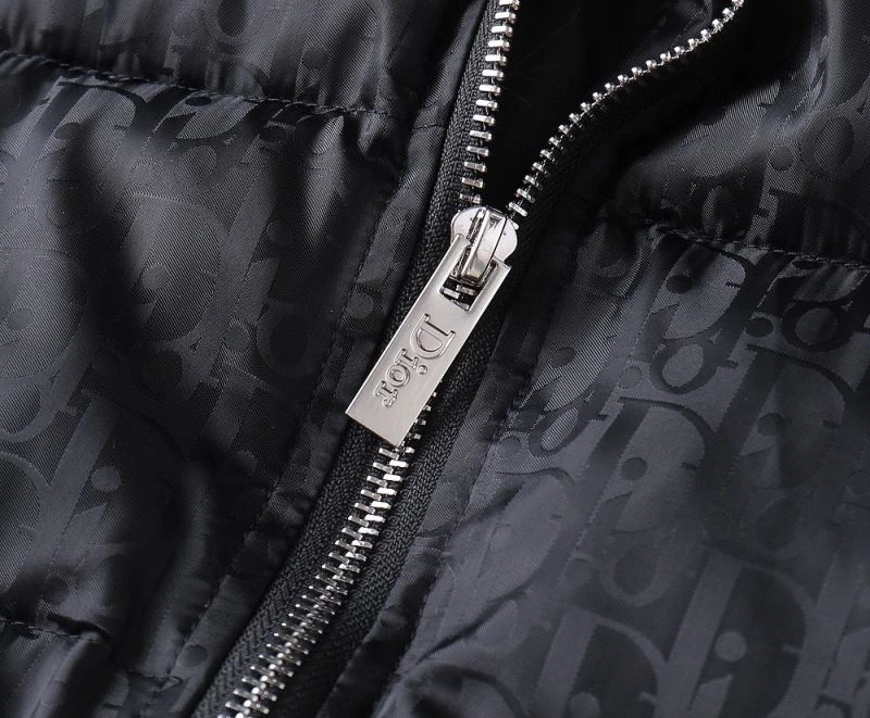 Indistinguishable Christian Dior Down Jackets