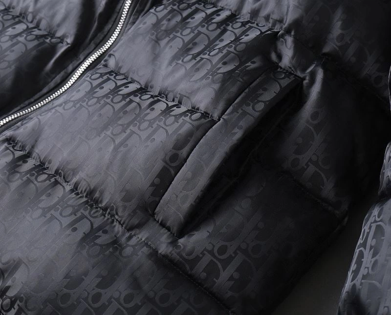 Indistinguishable Christian Dior Down Jackets