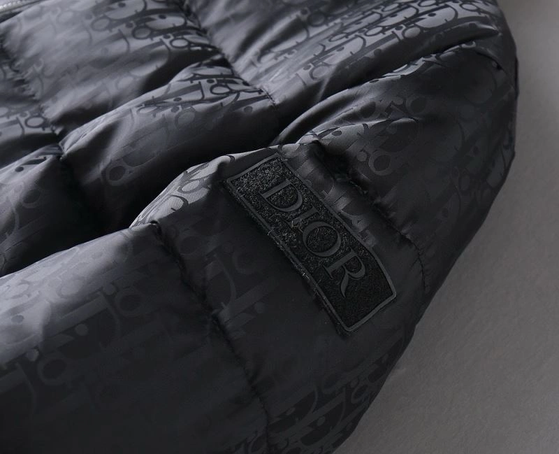 Indistinguishable Christian Dior Down Jackets