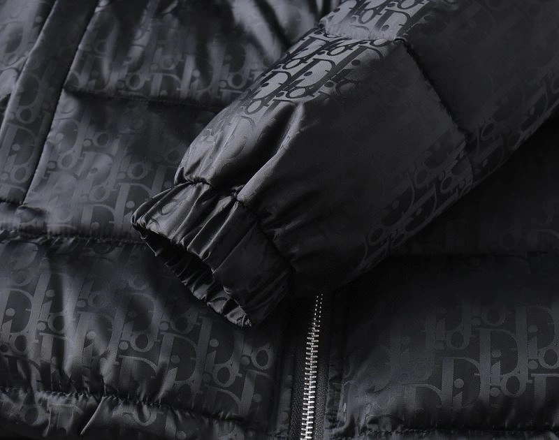 Indistinguishable Christian Dior Down Jackets